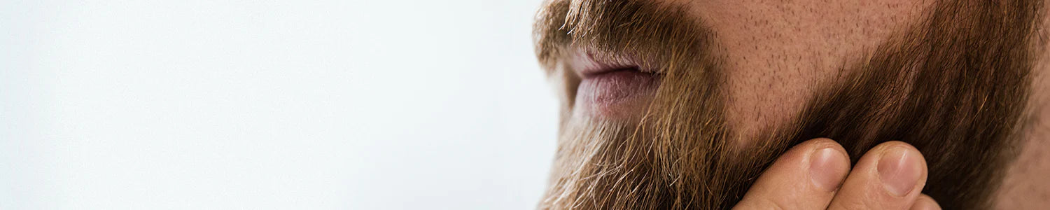 Barbe – Bulldog Skincare FR